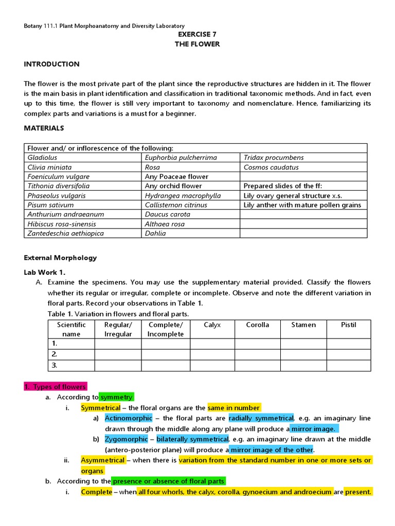 Ex. 7 The Flower PDF | PDF | Petal | Flowers