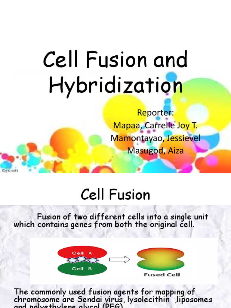 Cell Fusion and Hybridization | PDF | Hybrid (Biology) | Organisms