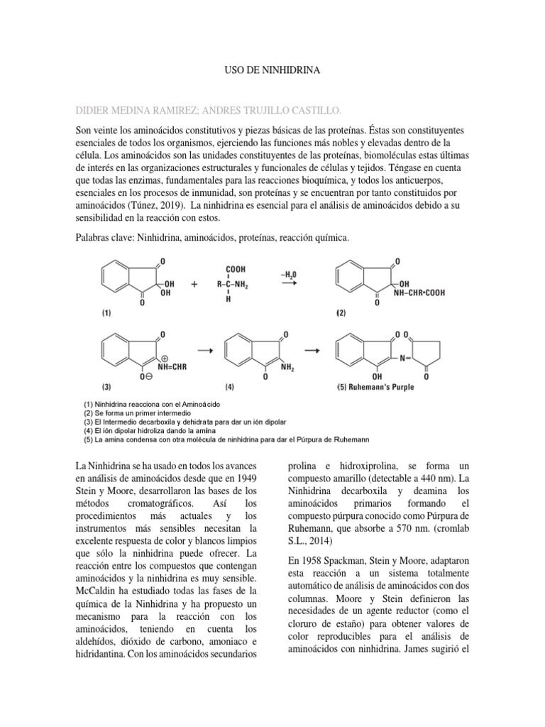 Análisis de Aminoácidos con Ninhidrina | PDF | Aminoácidos | Proteínas