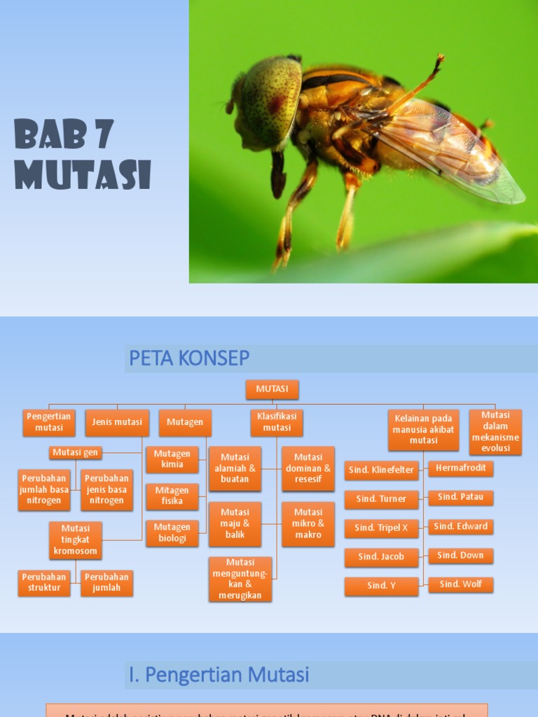 BAB 7 Mutasi | PDF