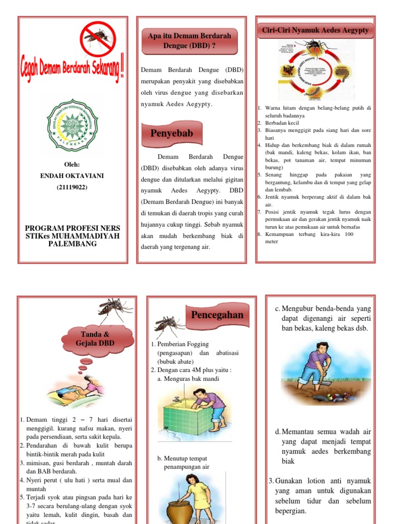 Leaflet DBD | PDF