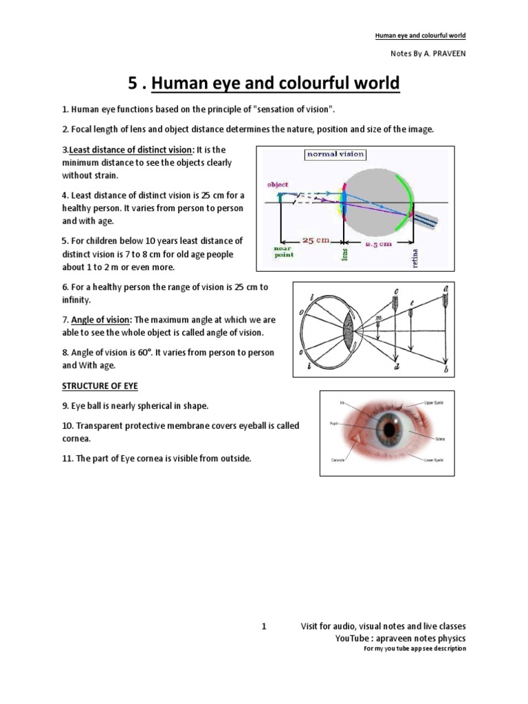 Human Eye and Colourful World | PDF