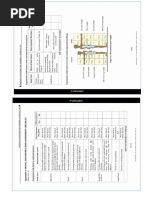 DRSABCD A4 Poster PDF | PDF