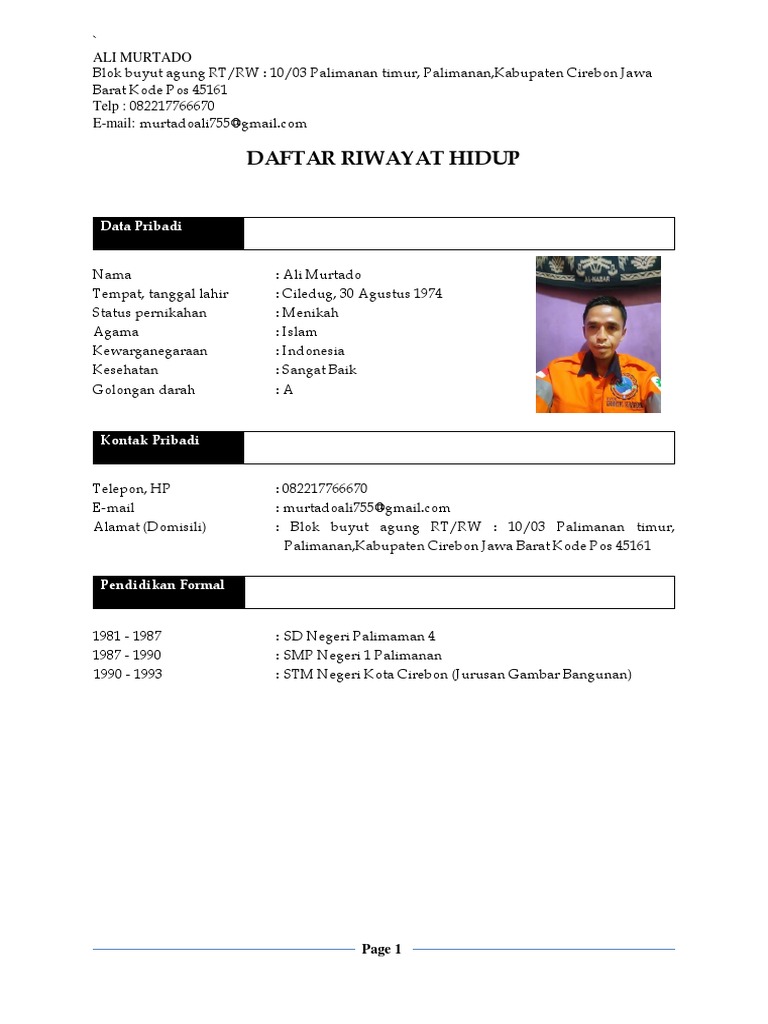 Ali Murtado CV | PDF