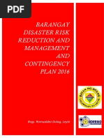 BDRRM Plan 2023-2025 Final | PDF | Hazards