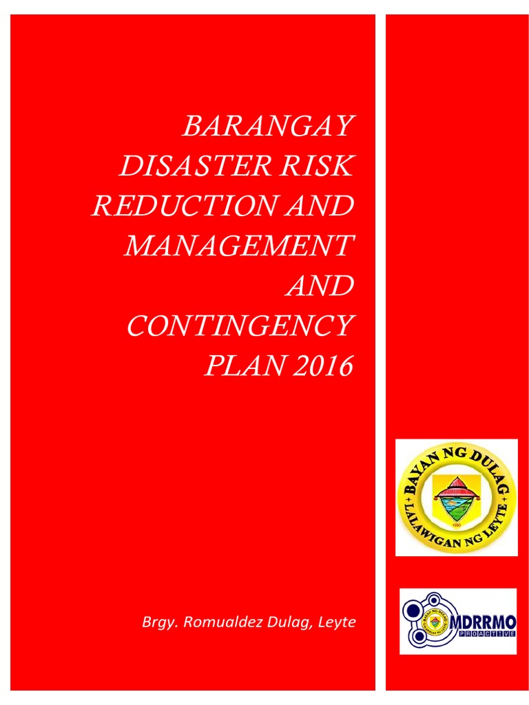 BDRRM Plan Brgy Romualdez | PDF