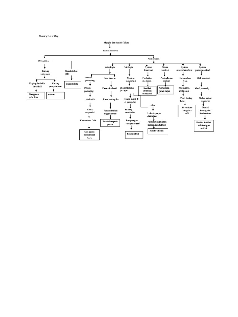 Pathway Post SC | PDF