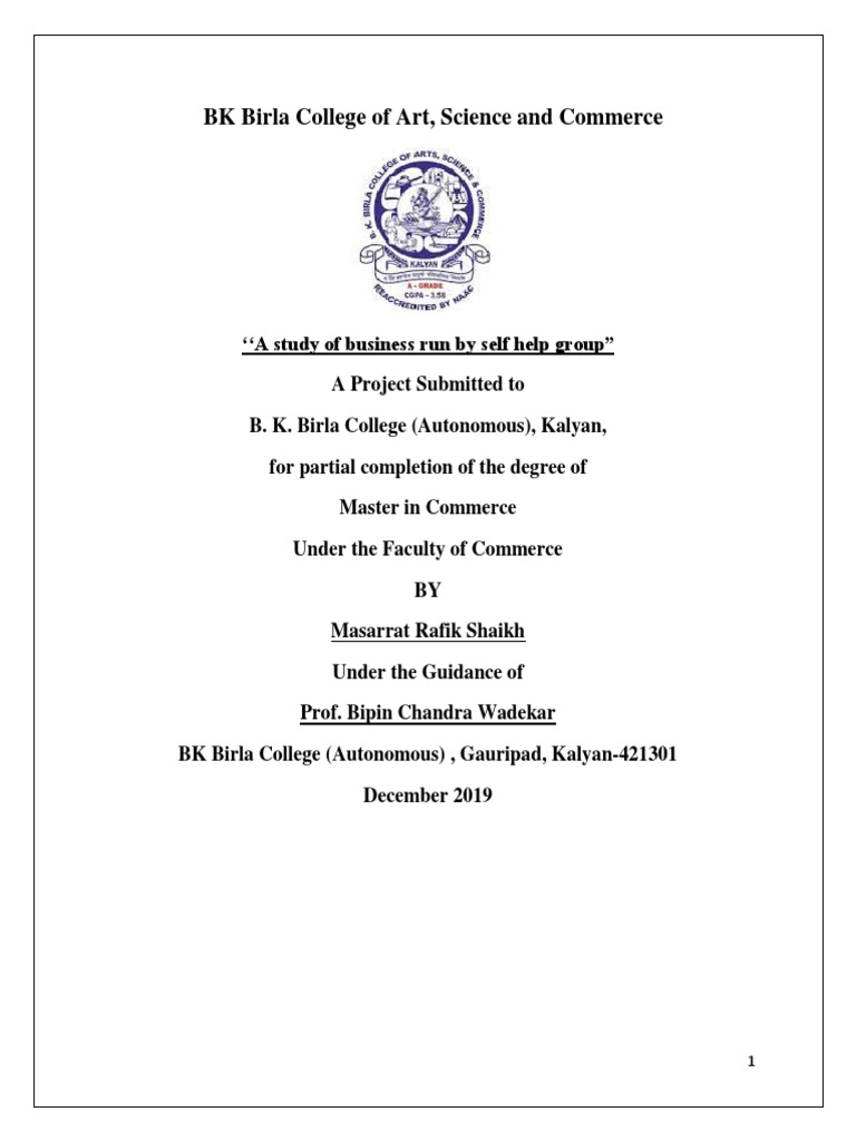 Self Help Group New Project | PDF