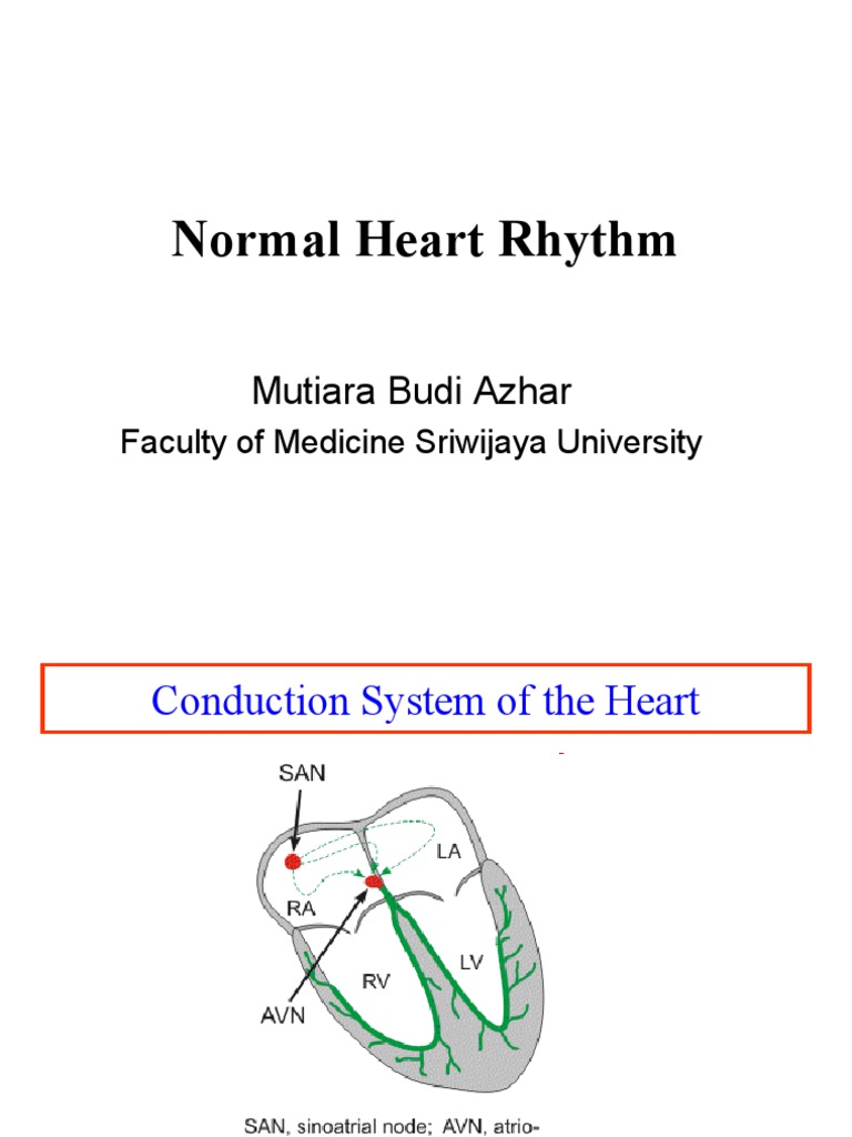 Normal Heart Rhythm: Mutiara Budi Azhar | PDF | Heart | Physiology