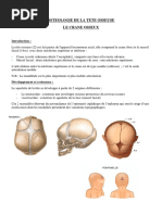 Anatomie et Fractures du Rocher | PDF | Tête et cou chez l'humain ...