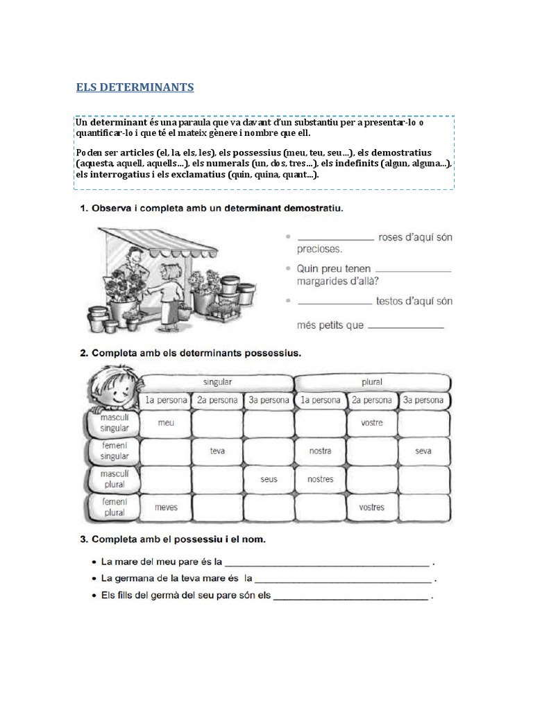 Els Determinants | PDF