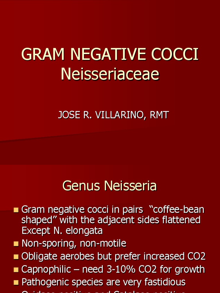 Gram Negative Cocci | PDF