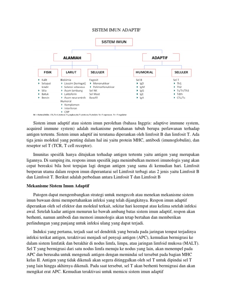 Mekanisme Sistem Imun Adaptif | PDF | Sains & Matematika