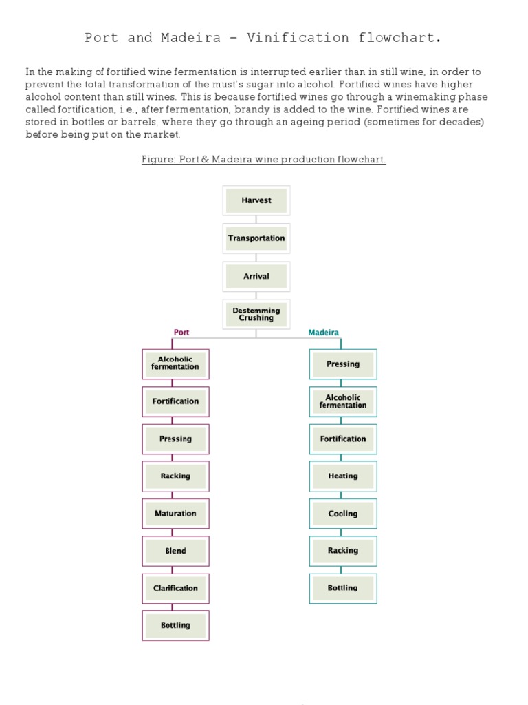 Vinification. | Winemaking | Fermentation In Winemaking