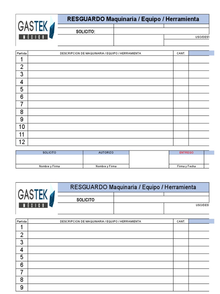 Formato Resguardo | PDF