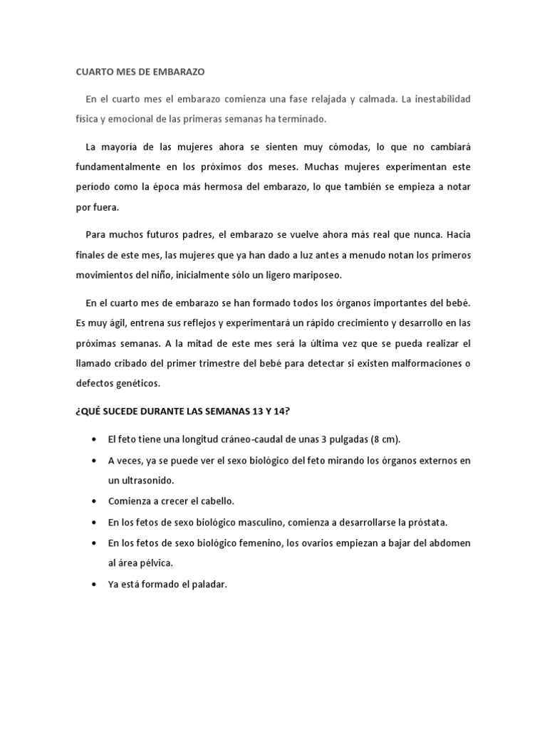 Cuarto Mes de Embarazo | PDF
