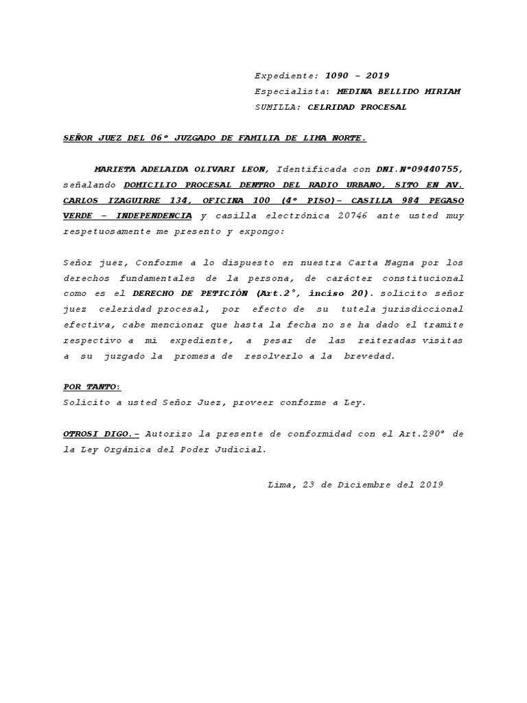 Modelo de Celeridad Procesal | PDF