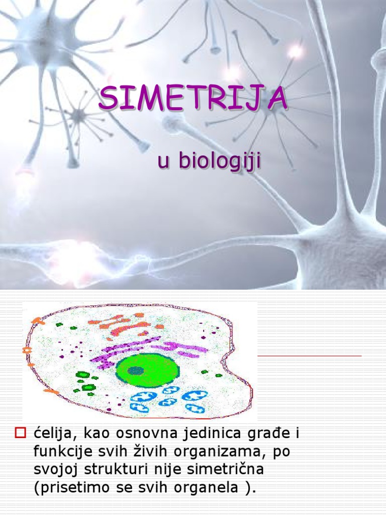 SIMETRIJA | PDF
