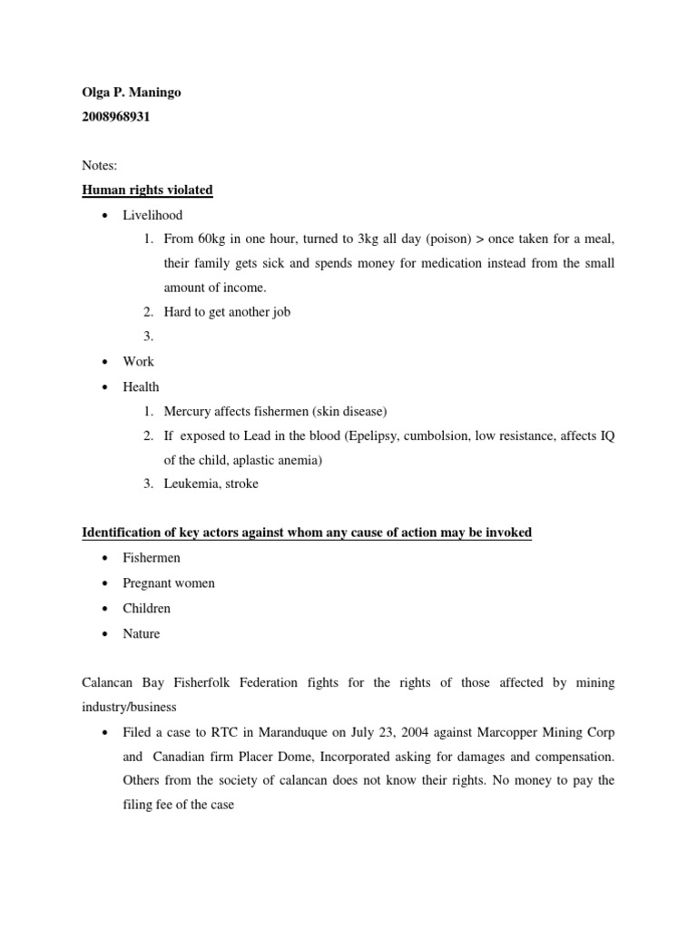 Calancan Bay Mining Disaster Report | PDF