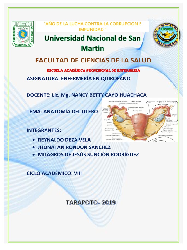Anatomia Del Utero | PDF