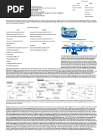 Science Olympiad: Forensics Note Sheet | PDF | Fingerprint | Gel ...