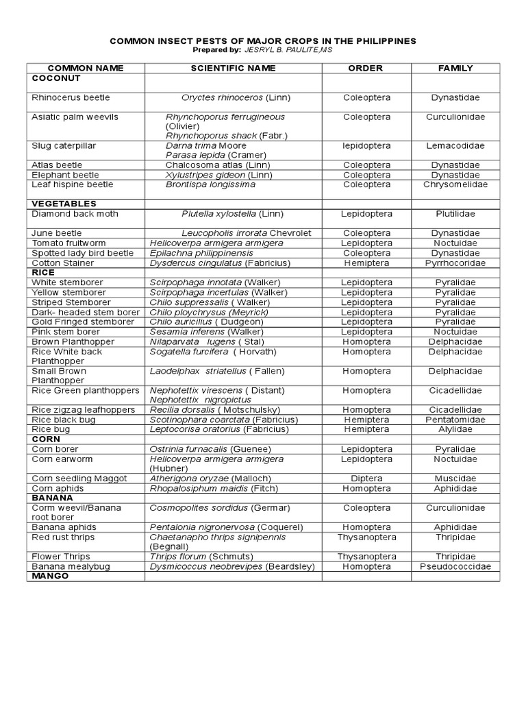 Major Insect Pests of Crops in the Philippines: A Comprehensive Guide ...