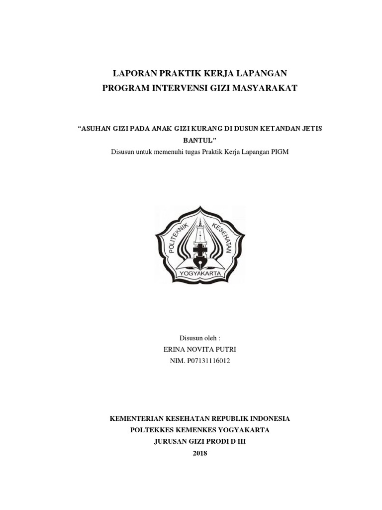 Asuhan Gizi Di Desa Yha | PDF