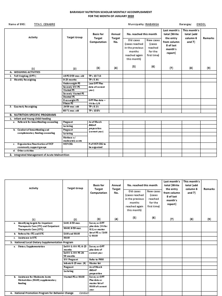 Barangay Nutrition Scholar Monthly Accomplishment | PDF | Malnutrition | Public Health