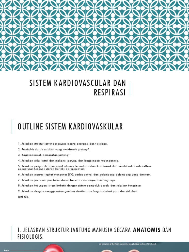 Sistem Kardiovaskular Dan Respirasi | PDF