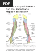 Dermatomas | PDF | Médula espinal | Nervio