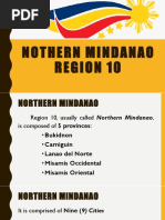 Region XI - Festivals | PDF | Festival | Cebu