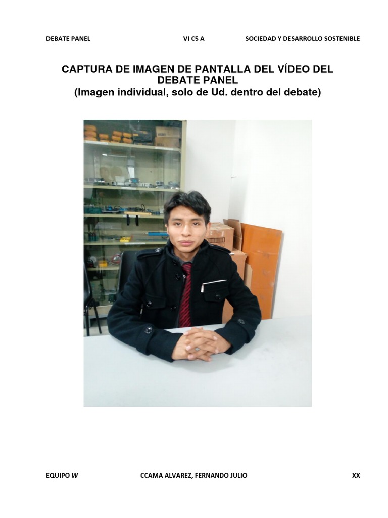 Formato DP Individual SDS 2019-2 PDF | PDF