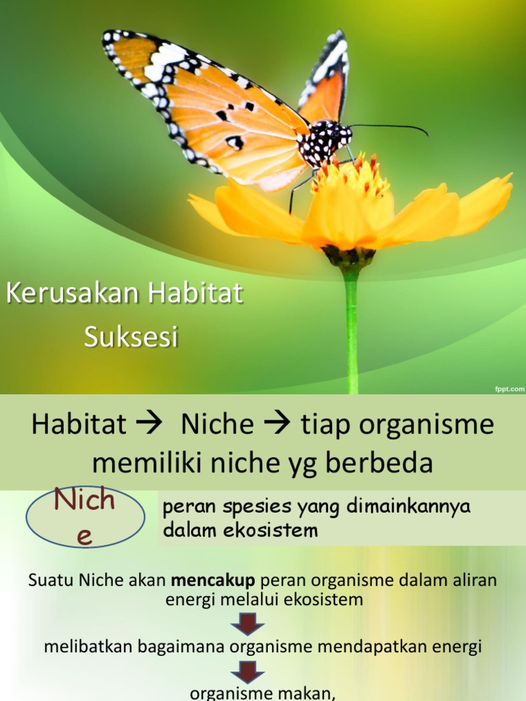 Kerusakan Habitat | PDF