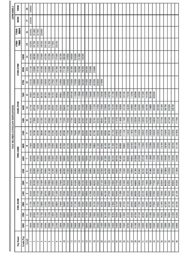 Pay Matrix Table PDF Download Here PDF | PDF