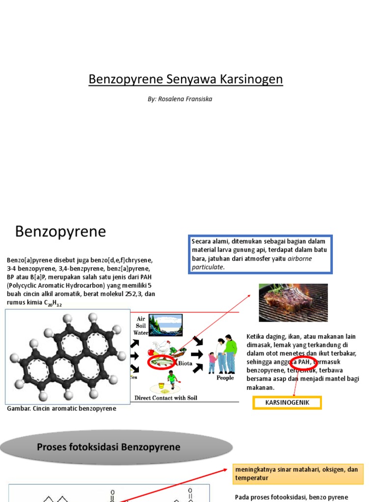 Karsinogenisitas Benzopyrene dan Metabolitnya | PDF