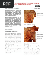 Radial Free Forearm Flap - RFFF - Surgical Technique | PDF