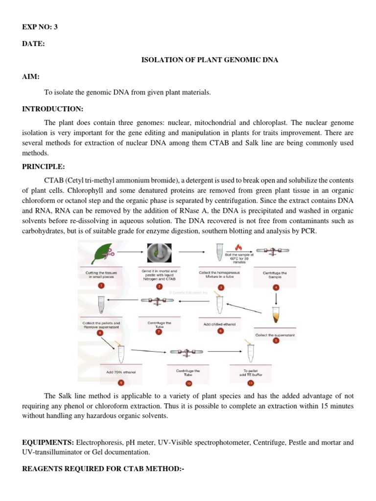 Isolation and Extraction of Genomic DNA from Plant Tissue Using CTAB ...