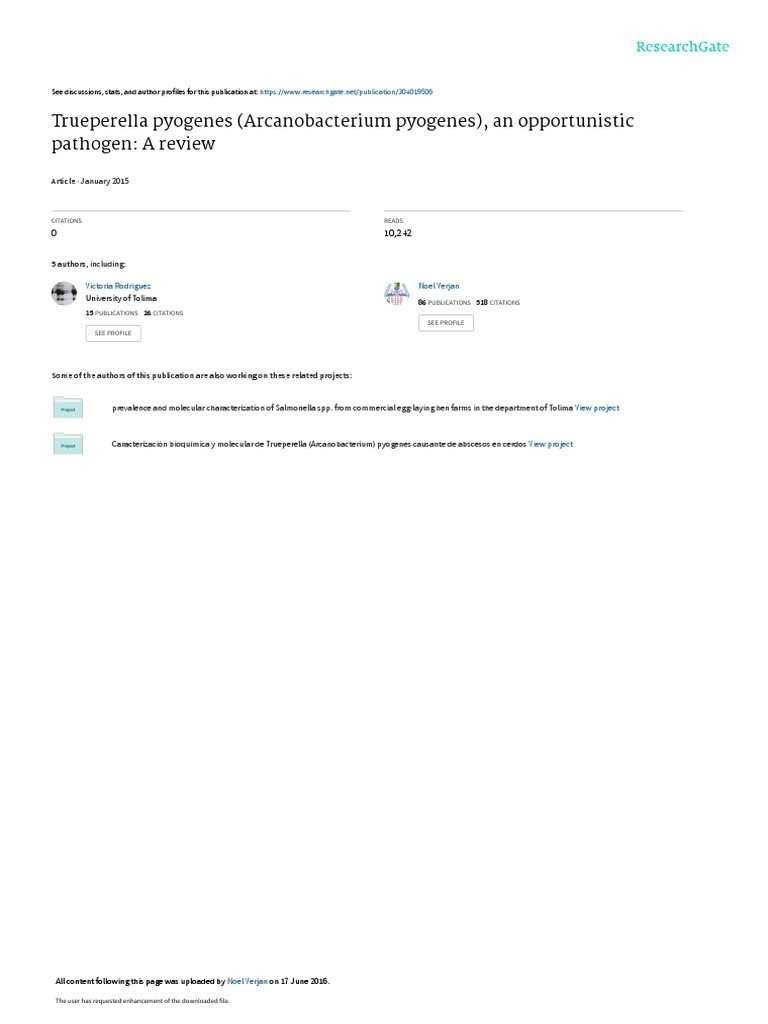 Trueperella Pyogenes (Arcanobacterium Pyogenes), Un Patógeno ...