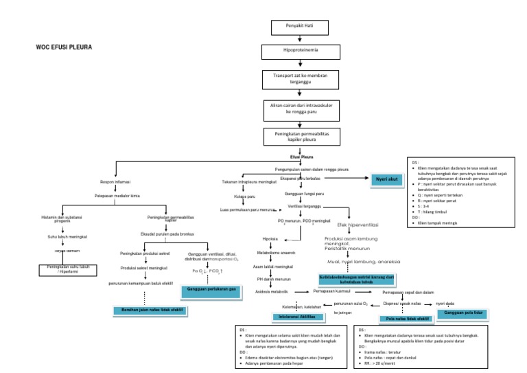 Pathway Efusi Pleura | PDF