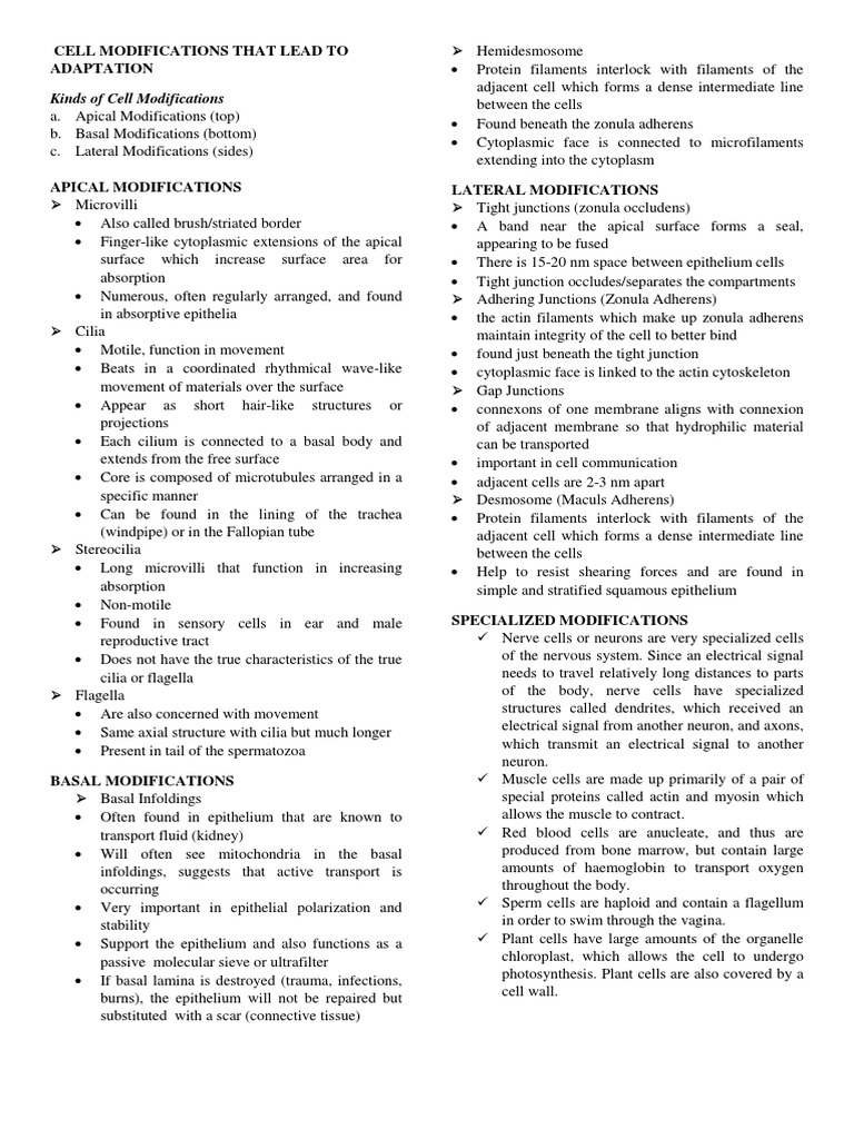Cell Modifications That Lead To Adaptation | PDF | Epithelium | Cell ...