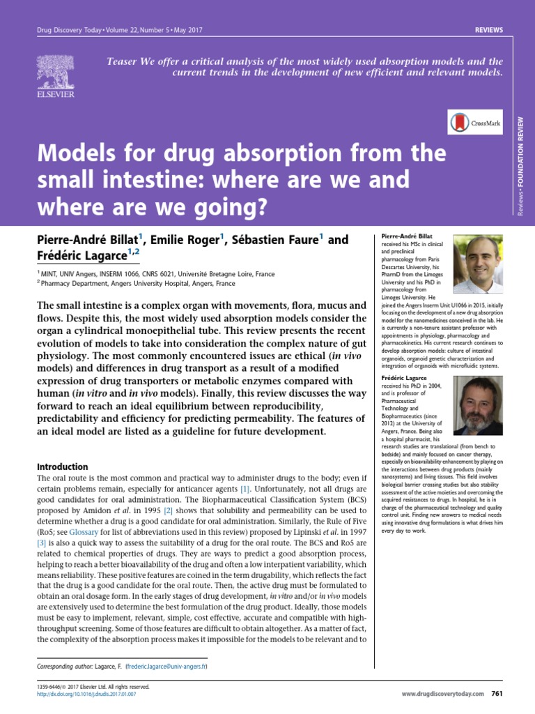 Models For Drug Absorption From The Small Intestine Where Are We and ...