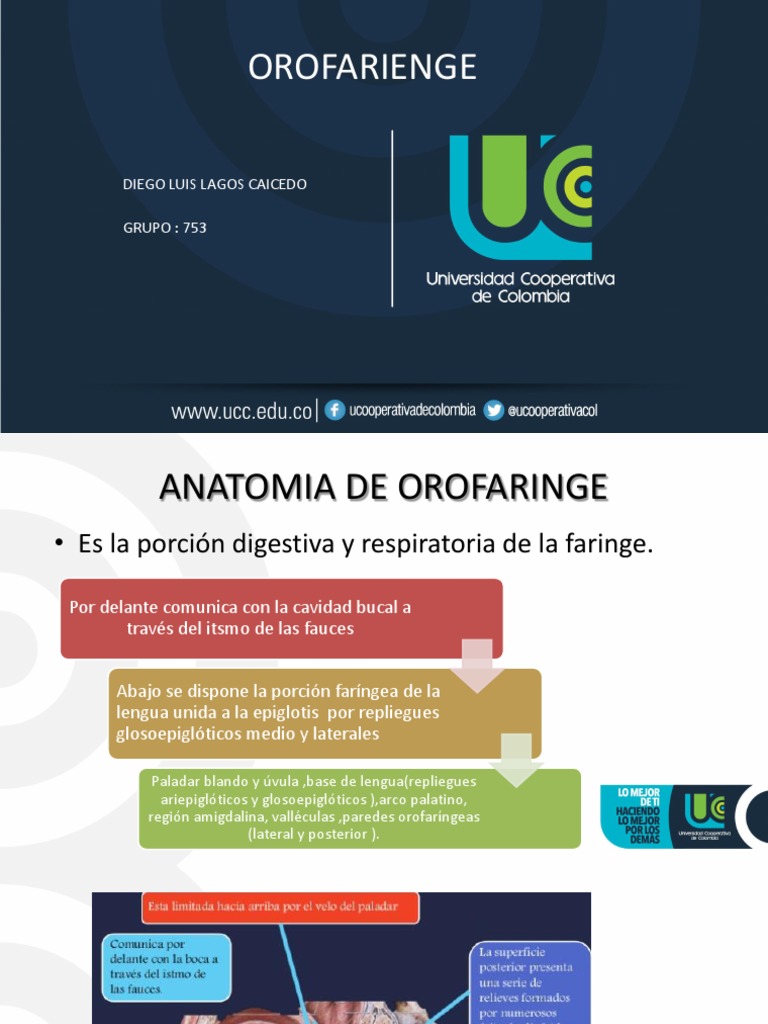 Expo Semiologia Orofaringe | PDF | Lengua | Anatomía