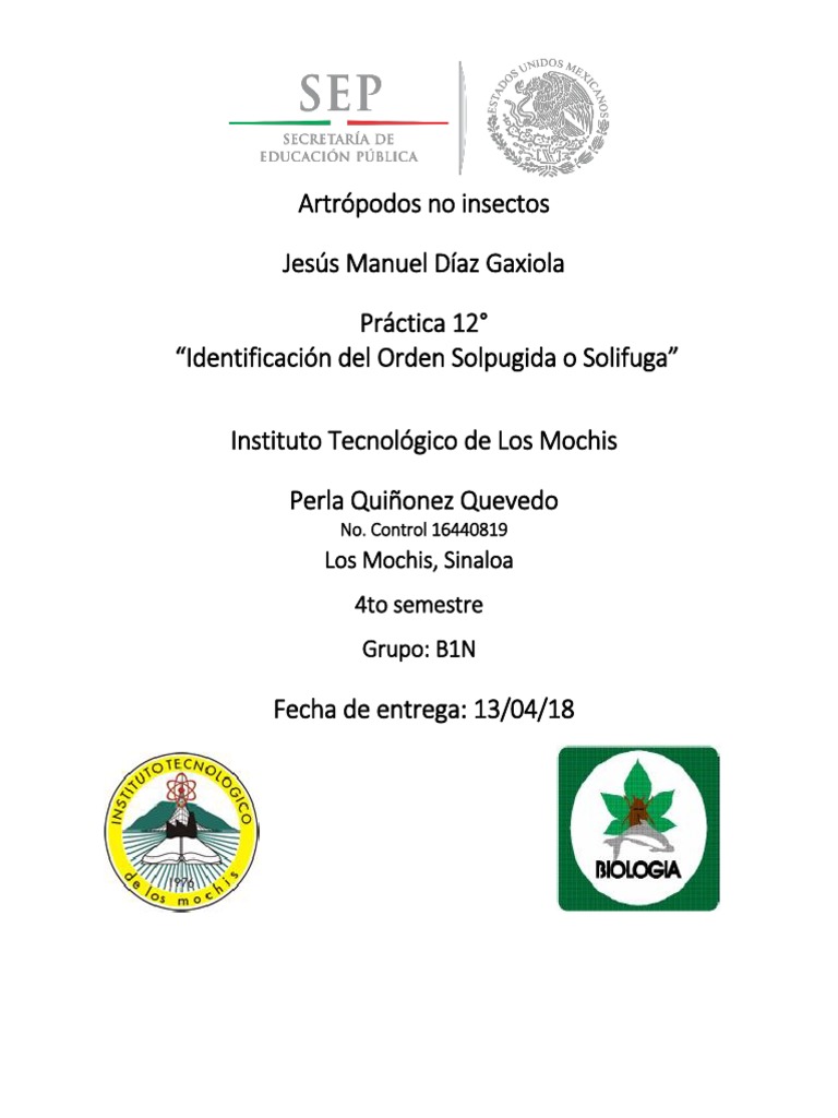 Identificación de Solífugos Eremobatidae | PDF | Araña | Organismos