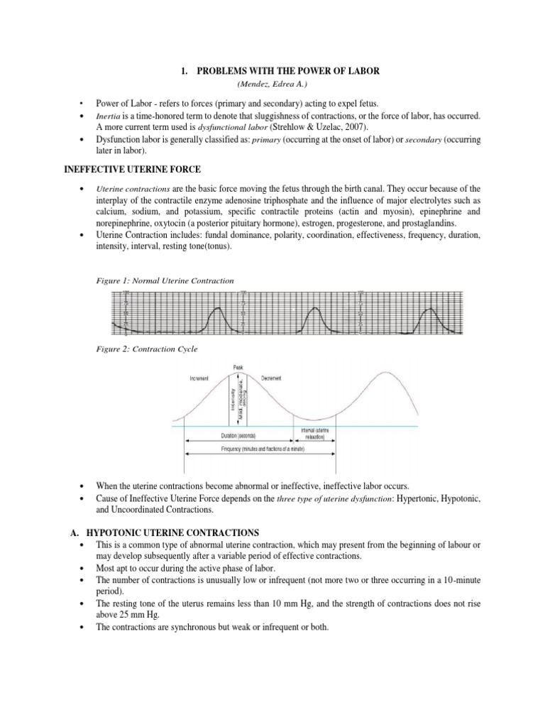 Ineffective Uterine Contractions | PDF | Uterus | Childbirth