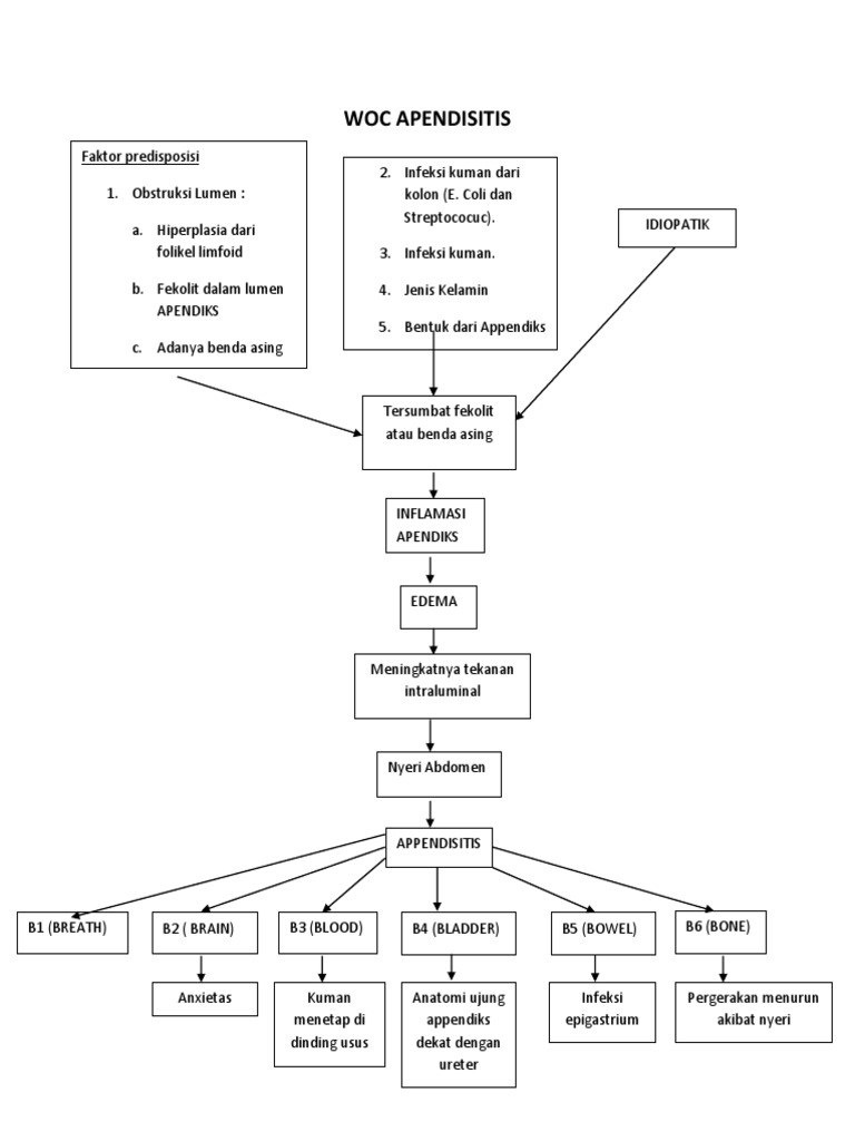WOC Dan KOMPLIKASI APENDISITIS | PDF