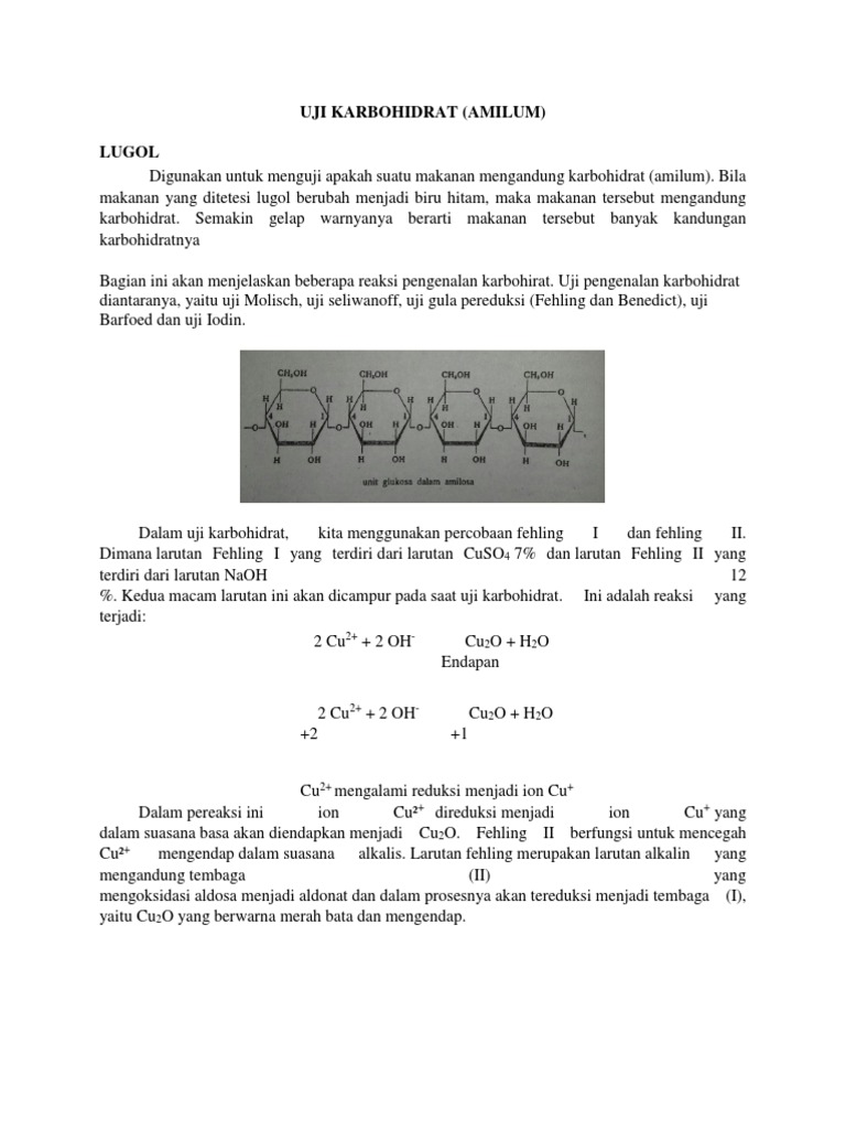 Uji Karbohidrat | PDF