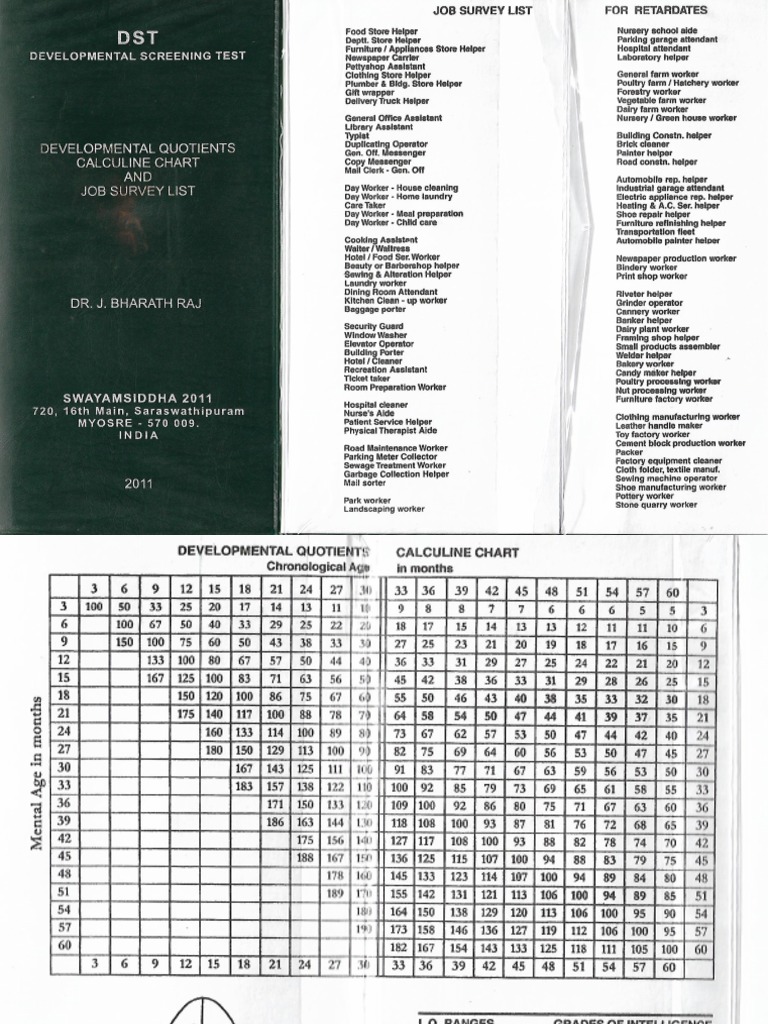 DST PDF | PDF