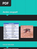 ¿Cómo Se Reproducen y Nacen Los Mosquitos | PDF | Mosquito | Reproducción
