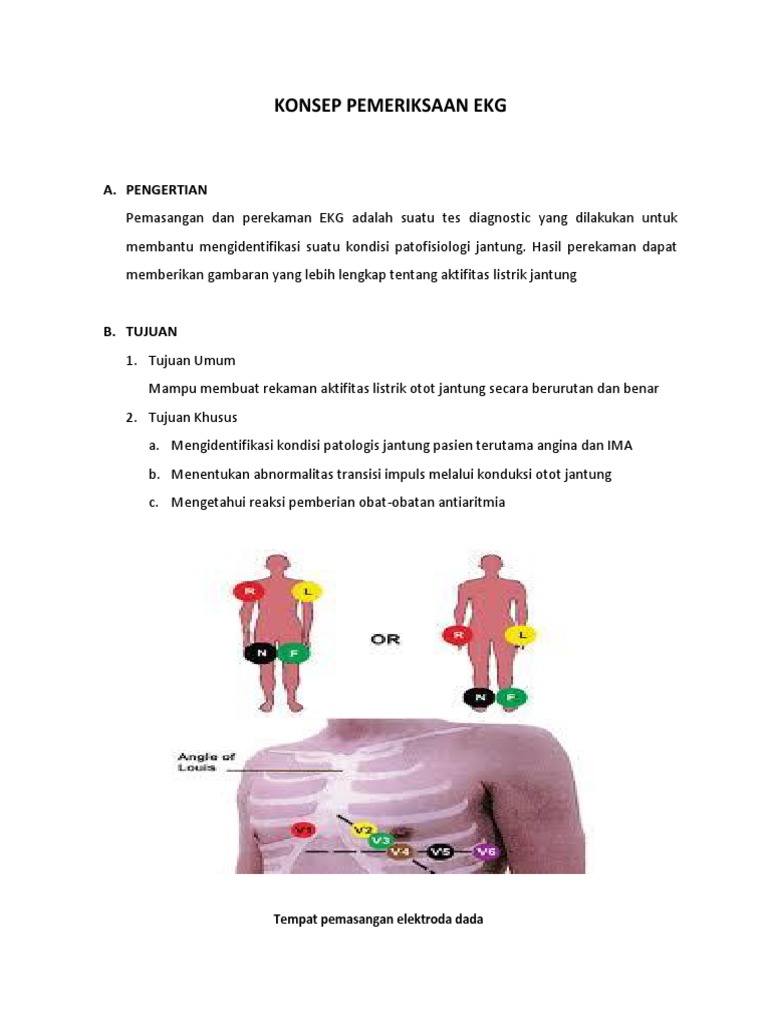 Sop Ekg | PDF