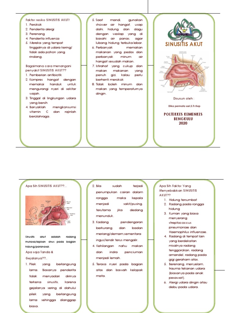 Leaflet Sinusitis | PDF